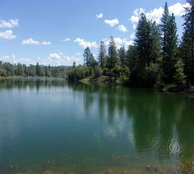 Community Rallies for Finnon Lake Clean-up Day – Community Blog